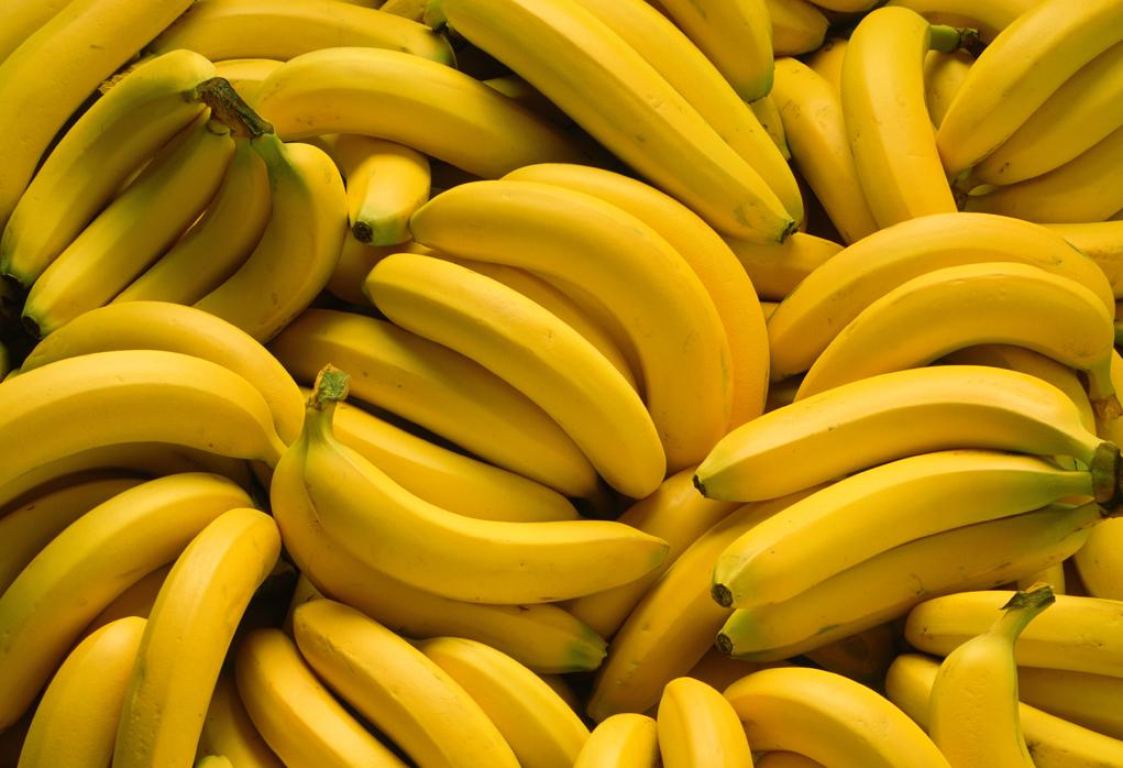 Torres Strait Islanders cultivated bananas for thousands of years, arc