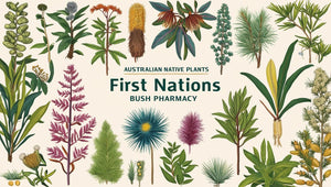 Saltwater, Freshwater, and Desert Peoples: The Deep Connection to Wate