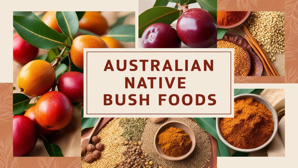 Interpreting Aboriginal and Torres Strait Islander Art Symbols